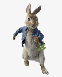 Free Peter Rabbit Clip Art with No Background - ClipartKey