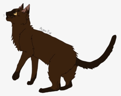 Acorn Fur By Glasskats - Acorn Fur Warrior Cats , Free Transparent ...