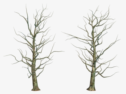 Free Bare Trees Clip Art with No Background - ClipartKey