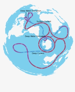 Circulation Icon , Free Transparent Clipart - ClipartKey