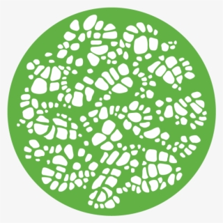 Free Turtle Shell Clip Art with No Background - ClipartKey