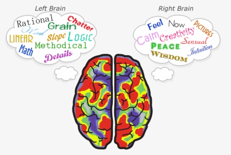 Creative Clipart Math Brain - Sides Of Your Brain , Free Transparent ...