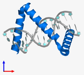 Free Protein Clip Art with No Background - ClipartKey