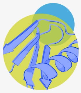 Free Protein Clip Art with No Background - ClipartKey