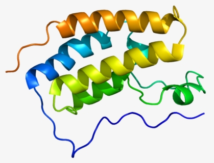 Venus Fluorescent Protein Structure , Free Transparent Clipart - ClipartKey