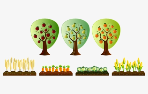 Cartoon Transparent Clip Art - Crops Clipart , Free Transparent Clipart ...