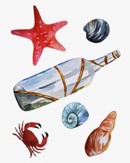 Clip Art Seashells Illustrations - Starfish , Free Transparent Clipart ...
