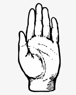 Left Hand - Body Parts Hand Worksheets , Free Transparent Clipart ...