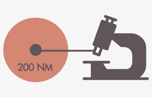 Microscopy Object Plate - Microscope Slide Clip Art , Free Transparent ...