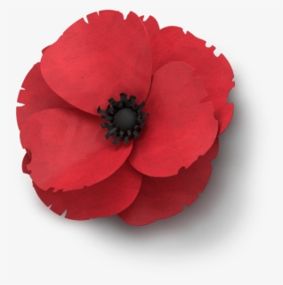 Picture - Remembrance Day Poppy Icon , Free Transparent Clipart ...