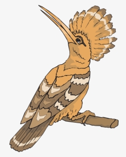 Hudhud Pakshi Ki Drawing , Free Transparent Clipart - ClipartKey