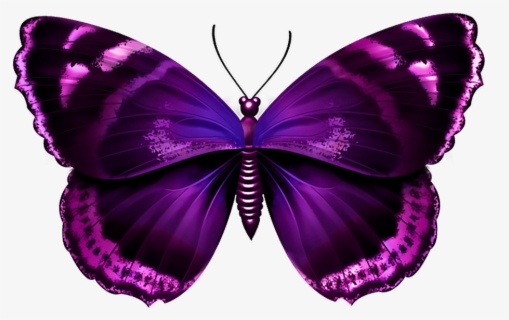 Free Purple Butterfly Clip Art with No Background - ClipartKey