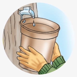 Free Maple Syrup Clip Art with No Background - ClipartKey