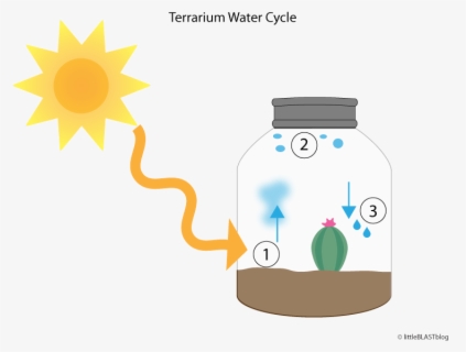 Free Water Cycle Clip Art with No Background - ClipartKey