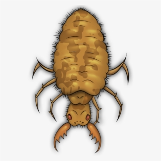 Louse , Free Transparent Clipart - ClipartKey