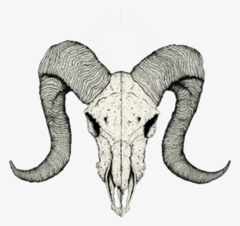 Clip Art Goat Skull Tattoo - Easy Goat Skull Drawing , Free Transparent ...