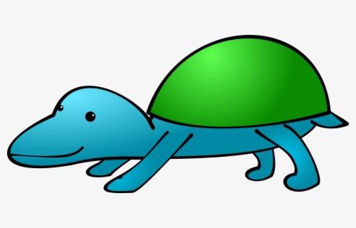 Turtle,grass,area , Free Transparent Clipart - ClipartKey