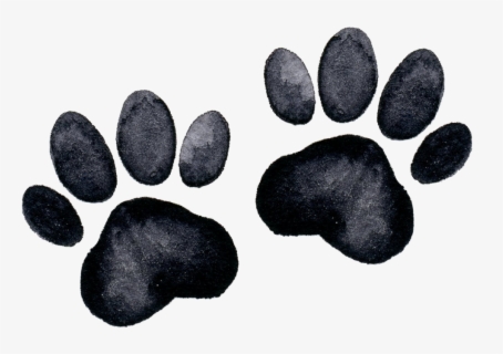 Paw Prints - Pebble - Watercolor Paw Print Png , Free Transparent ...
