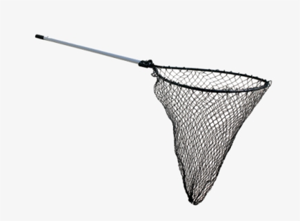 Free Fish Clip Art with No Background - ClipartKey
