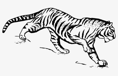 Tiger Blank No Stripes Outline White Stand Watch - Tiger Without ...
