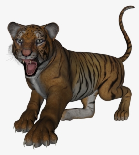 Tiger Blank No Stripes Outline White Stand Watch - Tiger Without ...