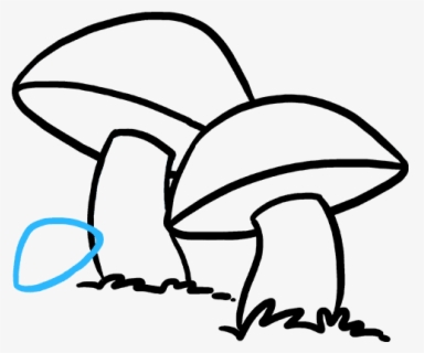 How To Draw A Mushroom - Easy To Draw Fungi , Free Transparent Clipart ...