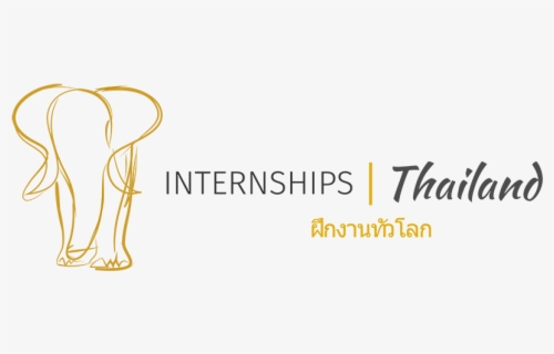 Internship Program - Transparent Internship Png , Free Transparent ...