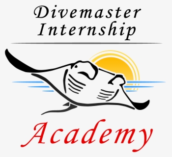 Internship Program - Transparent Internship Png , Free Transparent ...