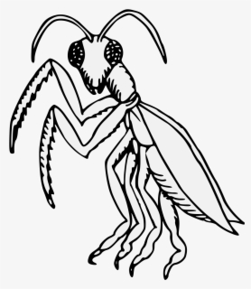Praying Mantis Stencil , Free Transparent Clipart - ClipartKey