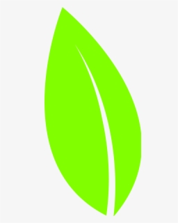 Download Leaves Vector Ring - Watercolor Leaves Frame Png - ClipartKey