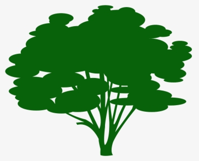 Pecan Tree Silhouette , Free Transparent Clipart - ClipartKey