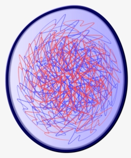 Cell Nucleus In Interphase , Free Transparent Clipart - ClipartKey