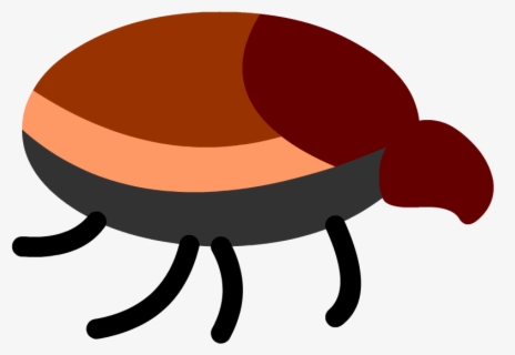 Weevil , Free Transparent Clipart - ClipartKey