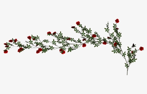 Transparent Rose Vine Clipart - Rose Vine Transparent Background , Free ...