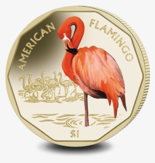 Flamingo Coin , Free Transparent Clipart - ClipartKey