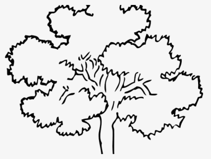 Transparent Big Tree Png - Outline Pictures Of Tree , Free Transparent ...