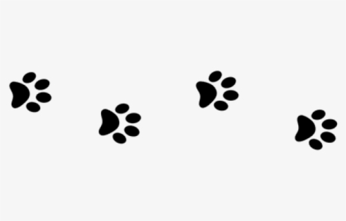 White Paw Prints Png Paw Prints No Background- - White Paw Prints Png ...