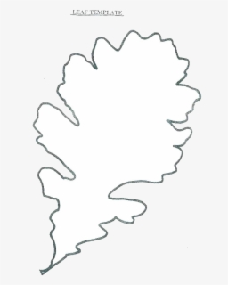 Leaf Outline Clip Art Transparent Png - Outline Picture Of Leaves ...