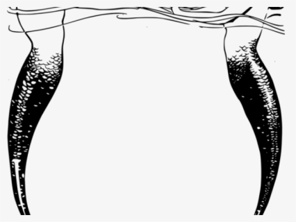 Transparent Mermaid Frame Png , Free Transparent Clipart - ClipartKey