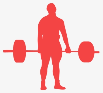 Strength Vs Hypertrophy Mucle Growth , Free Transparent Clipart ...