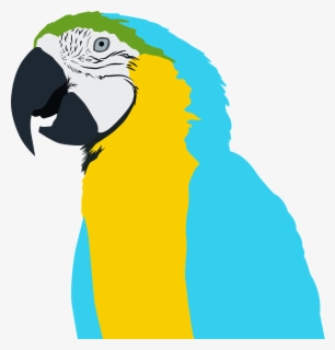 Free Pico Clip Art with No Background - ClipartKey
