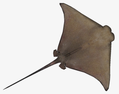 Transparent Rays Png - Cownose Ray Clipart , Free Transparent Clipart ...