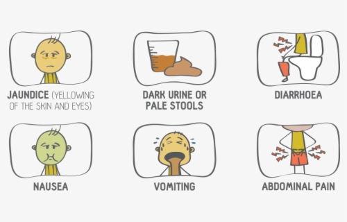 Acute Hepatic Porphyria Symptoms , Free Transparent Clipart - ClipartKey