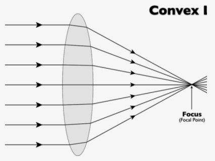 Simple Convex Lens Diagram , Free Transparent Clipart - ClipartKey