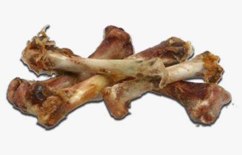 Chicken Bone Png , Free Transparent Clipart - ClipartKey