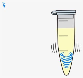 Eppendorf Vortex , Free Transparent Clipart - ClipartKey