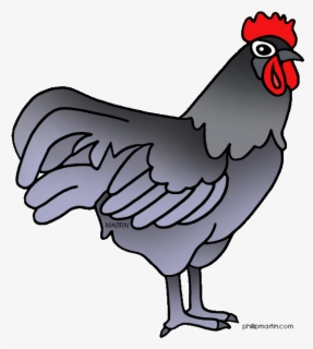 Free Hen Clip Art with No Background - ClipartKey