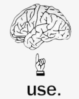 Use Your Brain - Symbol Of A Growth Mindset , Free Transparent Clipart ...