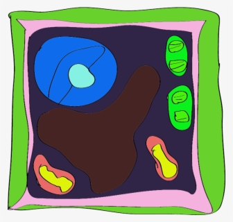 Plant Cell Unlabeled Background 1 Hd Wallpapers - Plant Cell No ...