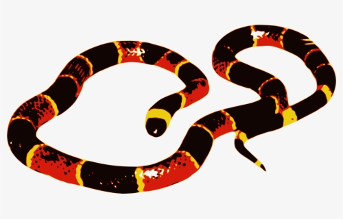 Clip Art Snake Png Transparent Image - Coral Snake No Background , Free ...